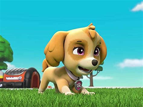 Skye Paw Patrol By Maalmond2006 On Deviantart