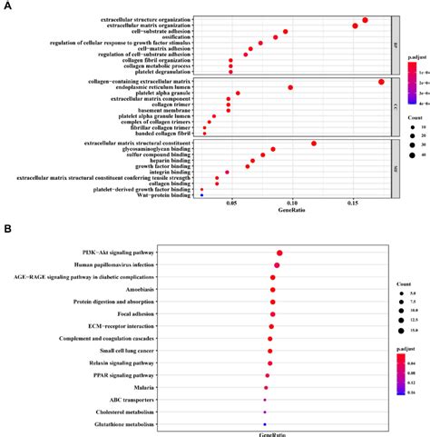 Go Annotation And Kegg Pathway Enrichment Analysis Of Degs A The Top