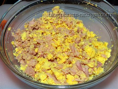 Oeuf Mimosa Au Thon Facile Recette De Geek
