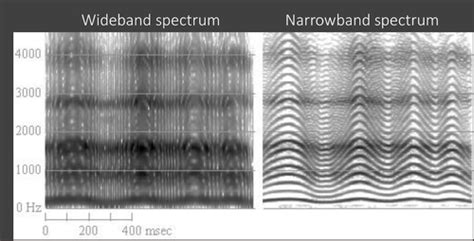 Phonetics Final Exam Review Flashcards Quizlet