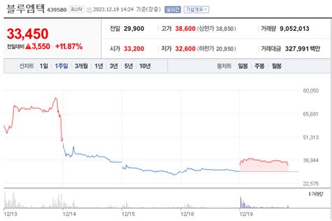 블루엠텍 주가 전망과 목표 주가 I 투자 유망 종목 증시 분석