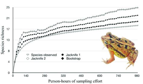 Accumulated General Richness Of Amphibian Species From The Total Number Download Scientific