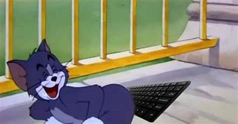 Kepler 1649c Album On Imgur