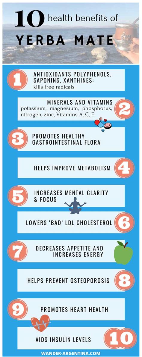 8 Health Benefits Of Yerba Mate Backed By Science Yerba Mate Is A Type