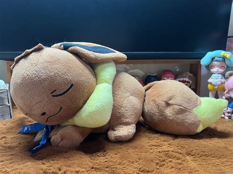 Sleeping Eevee On Carousell