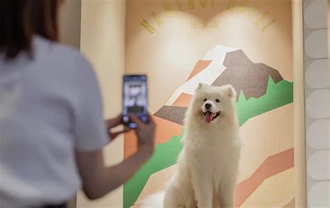 亀の井ホテルにワンちゃんと泊まる公式亀の井ホテル全国に展開する温泉ホテル