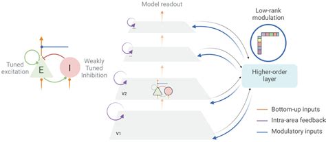 flexible context driven sensory processing in dynamical vision models