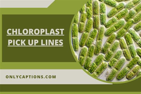 920 Chloroplast Pick Up Lines 2025 Creative Flirting Ideas