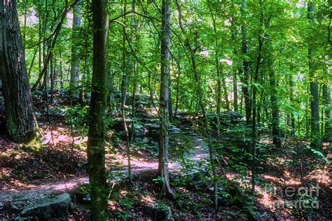 Cumberland Gap National Park Photograph By Bob Phillips Pixels