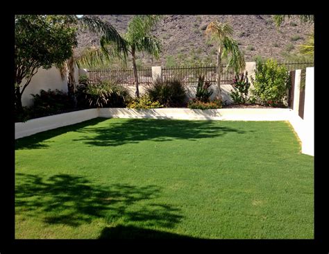 Proqual Landscaping Overseeding My Backyard With Winter Rye Seed