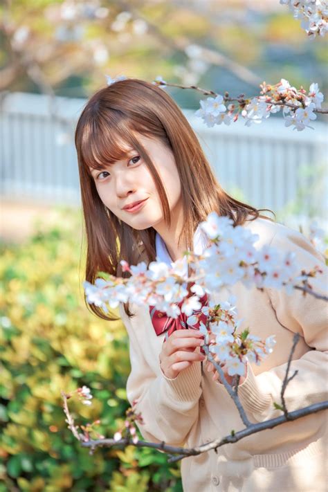 あたる On Twitter Model：ありん さん（arinn1212） ダイサツ 桜ダイサツ フレッシュ撮影会