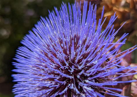 Associative Array Try Contains Or Default Value Jmp User Community