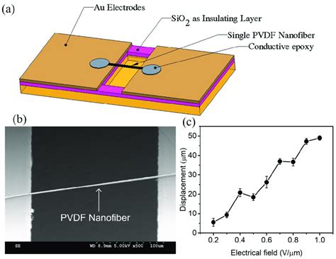 A Fabricated Substrate B Schematic Diagram Of The Device For Download Scientific Diagram