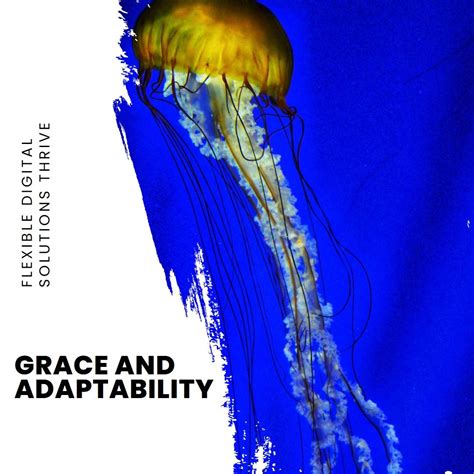 Businessadaptability Digitalflexibility Innovationinbusiness Baum