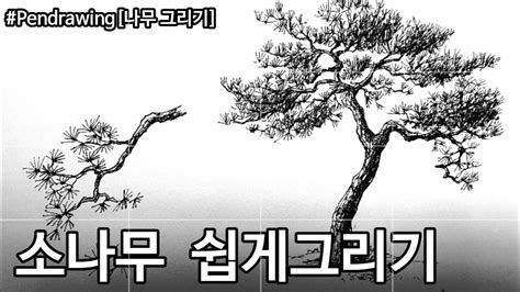 펜드로잉 쉽게 나무그리기오늘의 수다와 아재개그소나무 그리는법 Youtube