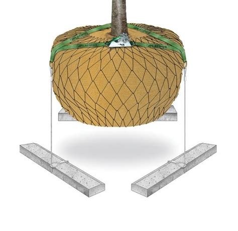 Tree Anchoring Without Anchors Platipus Anchors Earth Anchoring Systems