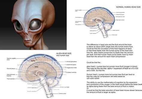 Fysiology Of Space And The Technology Of Aliens