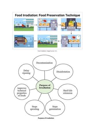 Vnd Openxmlformats Officedocument Wordprocessingml Document Rendition 1