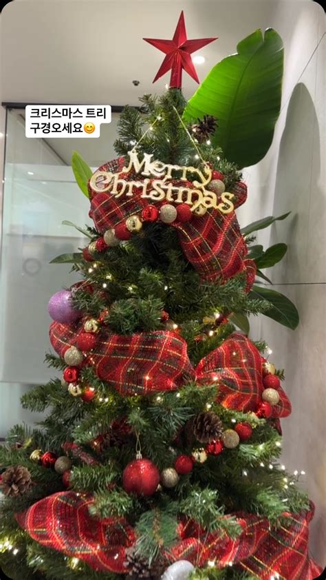 신도림 한길정형외과의원 신도림 한길정형외과 트리만들기 2️⃣0️⃣2️⃣4️⃣🎄크리스마스 트리 만들었어요 2024년 한