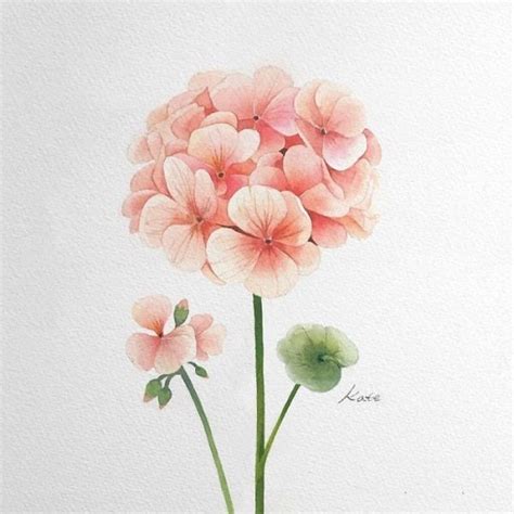 Pin On Flower Drawing