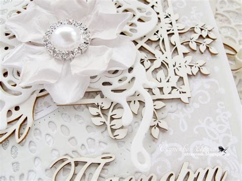 Отражения: Обложка на паспорт