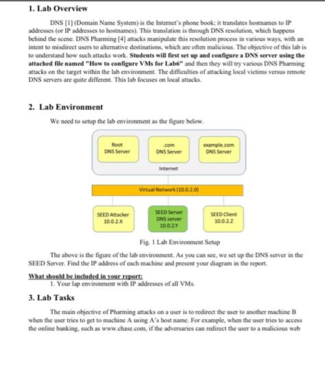 1 Lab Overview DNS 1 Domain Name System Is The Chegg Com