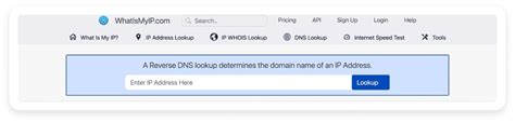 What Is Reverse DNS Lookup And How Does It Work