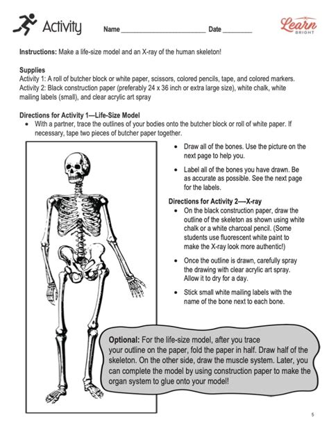 Bones Free Pdf Download Learn Bright Worksheets Library