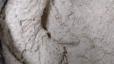 Музей на хляба и традиционните храни Home