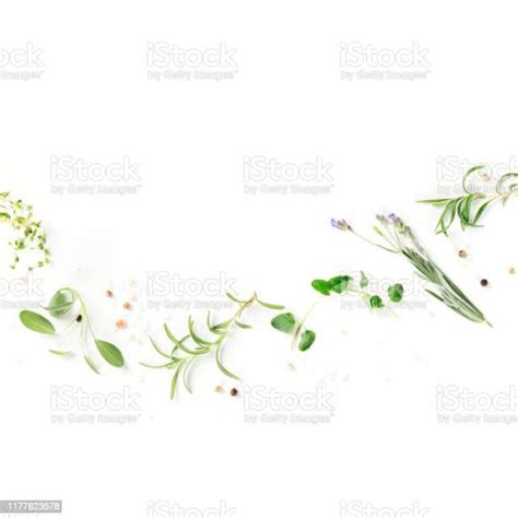 흰색 배경에 요리 향기로운 허브 복사 공간이있는 평평한 평신도 조성 요리 디자인 템플릿 사각형 오버 헤드 샷 곡선에 대한 스톡 사진 및 기타 이미지 Istock