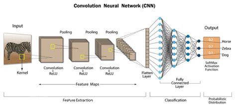 Understanding Neural Networks A Beginners Guide Best It Training
