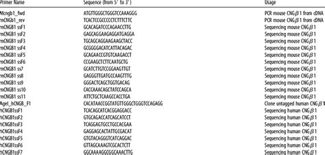 Oligonucleotide Primers To Generate And Sequence Confirm Constructs