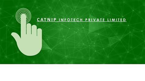 Catnip Infotech Private Limited Linkedin