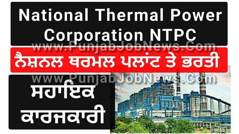 Ntpc Assistant Executive Vacancy 2024 Punjab Job News