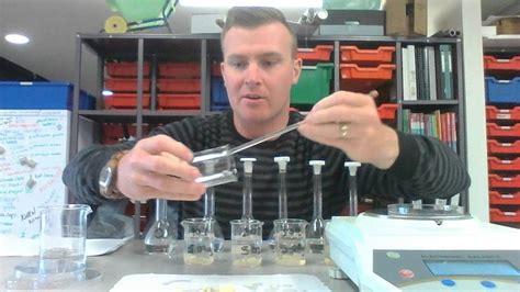 Osmosis In Potato Cells Experiment Youtube