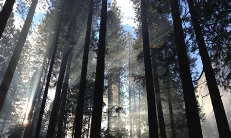 Embracing Cloud Computing For Modern Development — Association Of Registered Web Designers