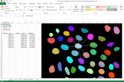 Figures And Data In Junction Mapper Is A Novel Computer Vision Tool To Decipher Cell Cell