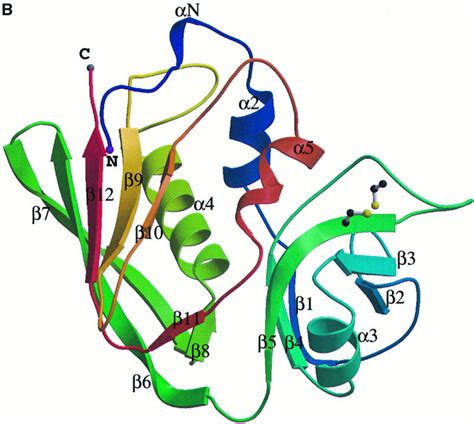 Structural Basis For The Recognition Of Superantigen Streptococcal Pyrogenic Exotoxin A Spea1