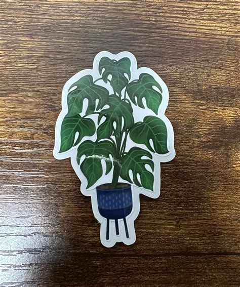 Monstera Plant Sticker Monstera Sticker Monstera Monstera Plant