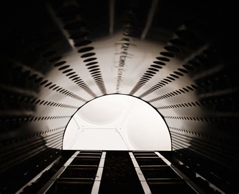 Opinion Human Composting Should Be An Option For New Yorkers The