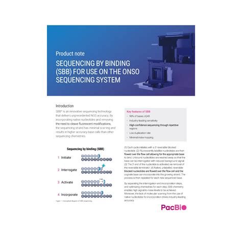 Onso Sequencing System Pacbio Onso Sequencing System Pacbio