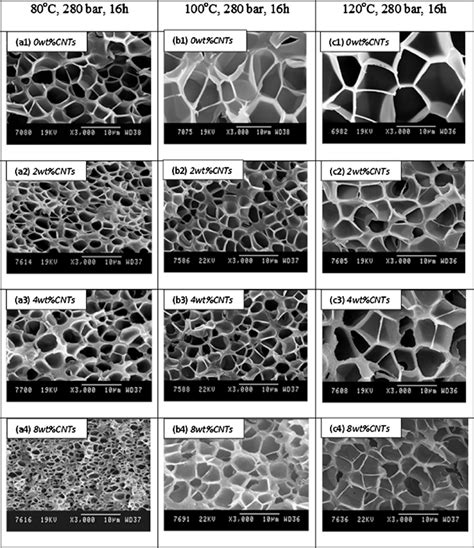 Sem Micrographs Of Pmma Foams Prepared At Different Temperatures And