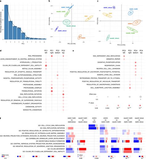 Transcriptomic Profiling Of Astrocytes Reveals Major Differences Download Scientific Diagram