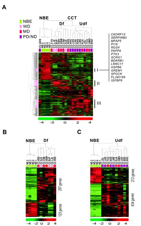 Unsupervised Hierarchical Clustering Of 4 Biliary Epithelial Cells And