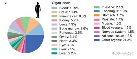 在线数据可视化工具 知乎
