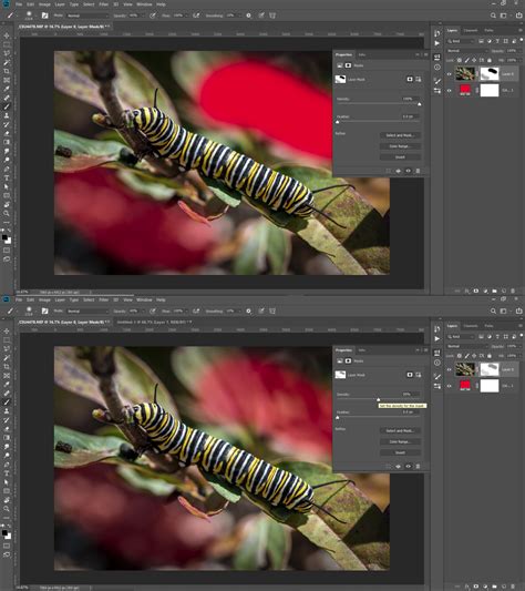 Solved Control Over Mask Opacity Adobe Support Community 10651913