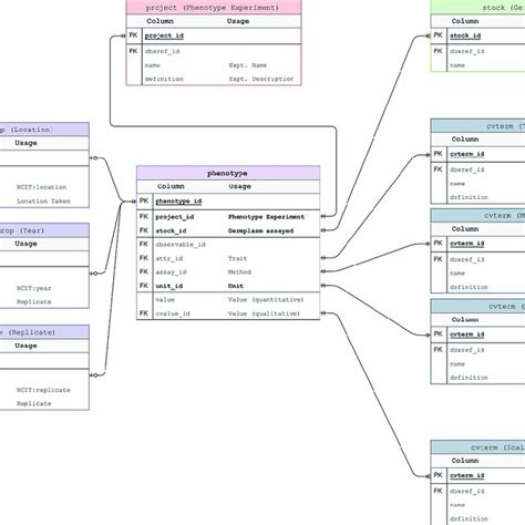 Phenotypic Data Model The Entity Relationship Diagram Describes The