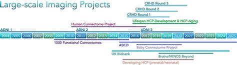 Timeline Of Large Scale Imaging Projects Predating And Postdating Hcp Download Scientific