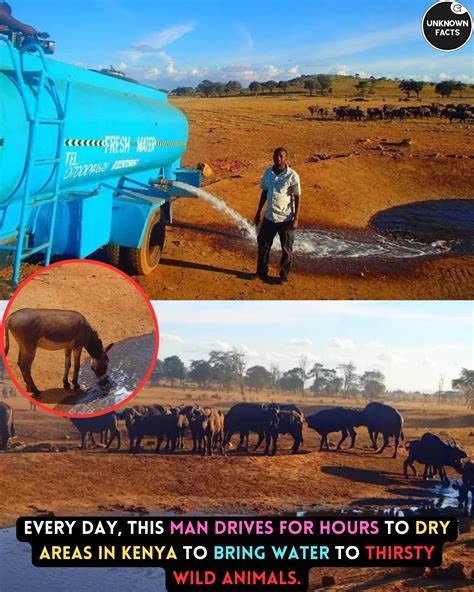 Unknown Facts Meet Patrick Kilonzo Mwalua Also Known As