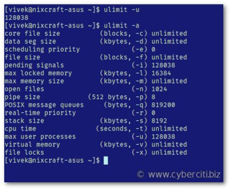 Understanding Bash Fork Bomb And Code Nixcraft
